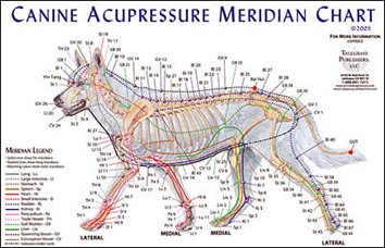 Shiatsu | Communication animale